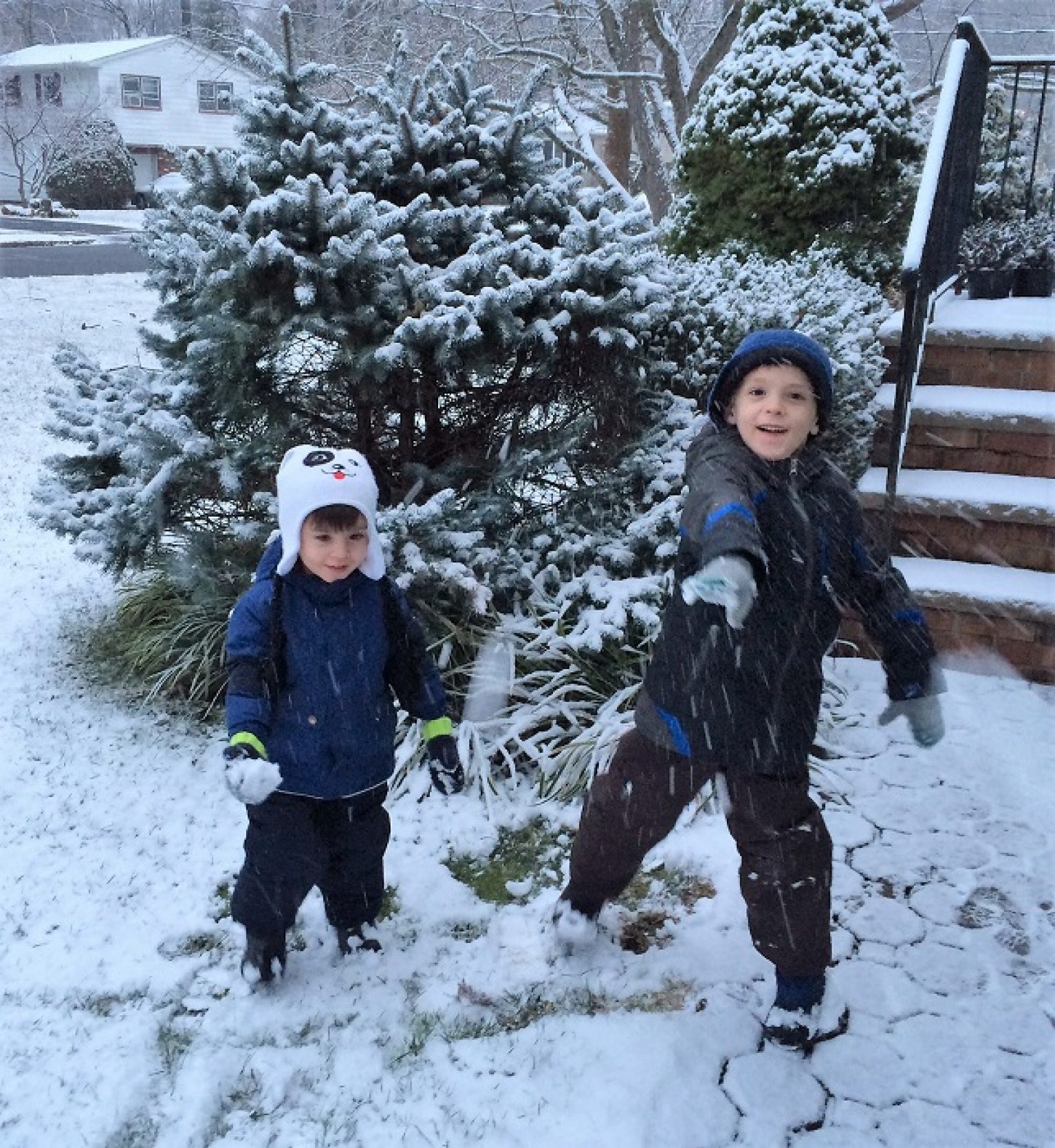Hoping for Snow! Reading More Nonfiction…and Fiction Books – Reading ...